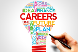 STEM vs Humanities Careers: Pros, Cons, and How to Choose - onacumen.com